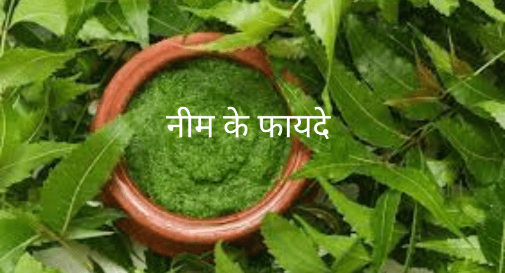 नीम के 6 फायदे - Neem Benefits And Uses – Hindi GupSup